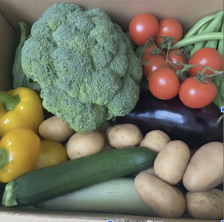 Learning about Riverford's organic fruit and vegetable delivery service ...