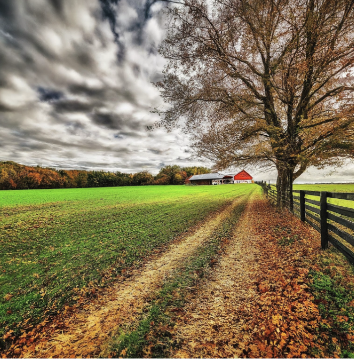 Welcome to farm life, where every chore doubles as exercise - Rover Planet